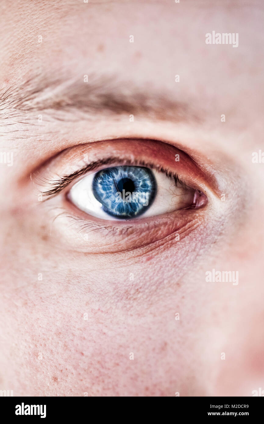 blue eye of a young man Stock Photo - Alamy