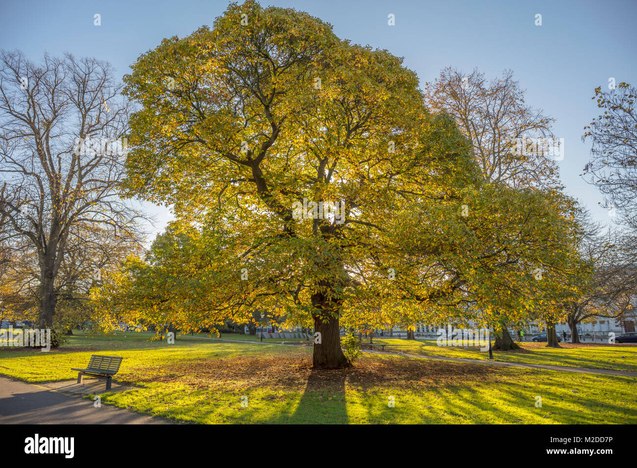 Southampton parks hi-res stock photography and images - Alamy