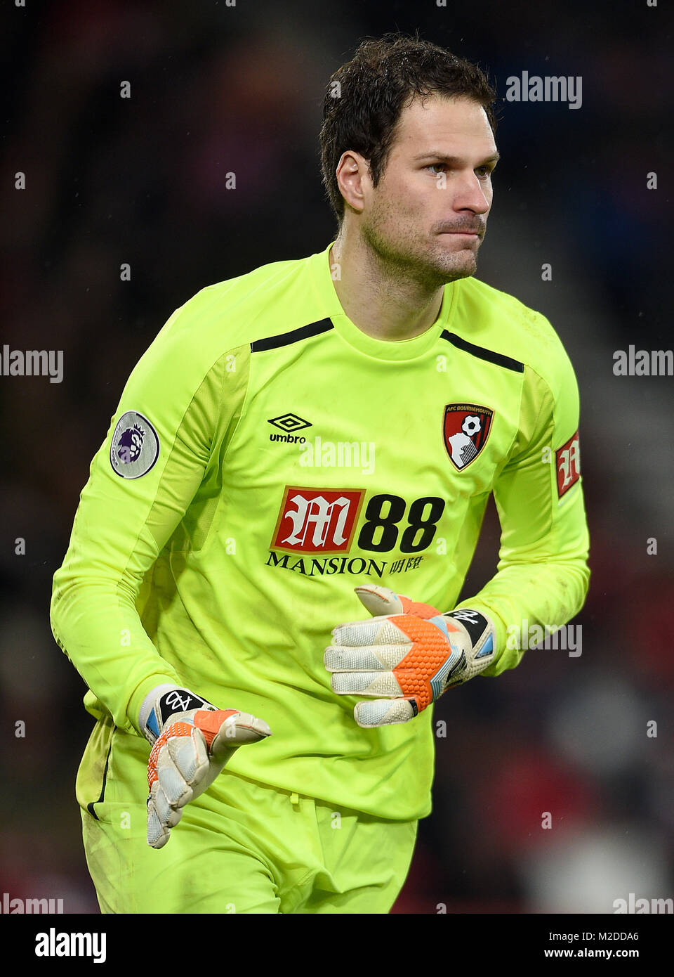 AFC Bournemouth goalkeeper Asmir Begovic Stock Photo - Alamy