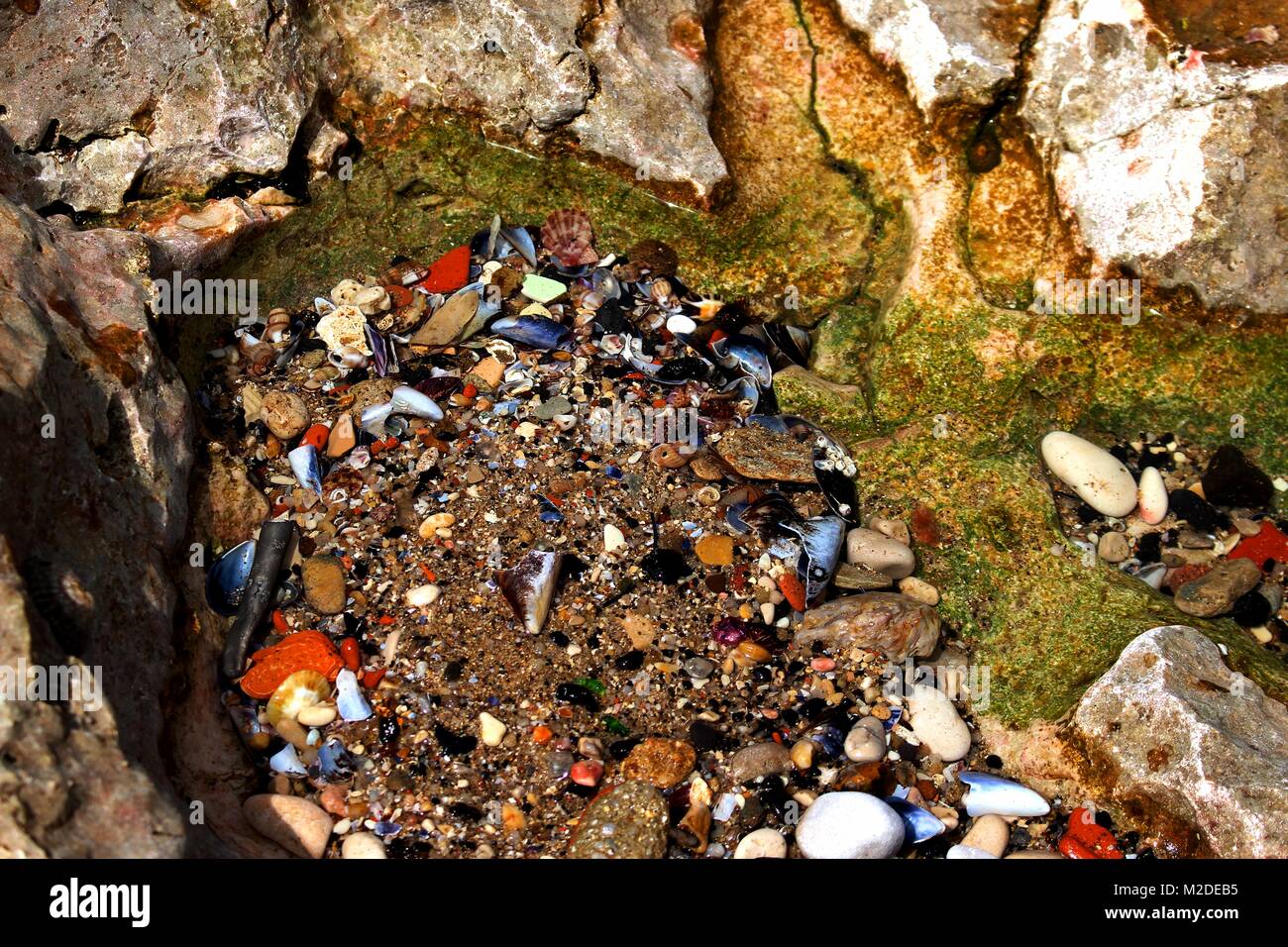Full of shells hi-res stock photography and images - Alamy