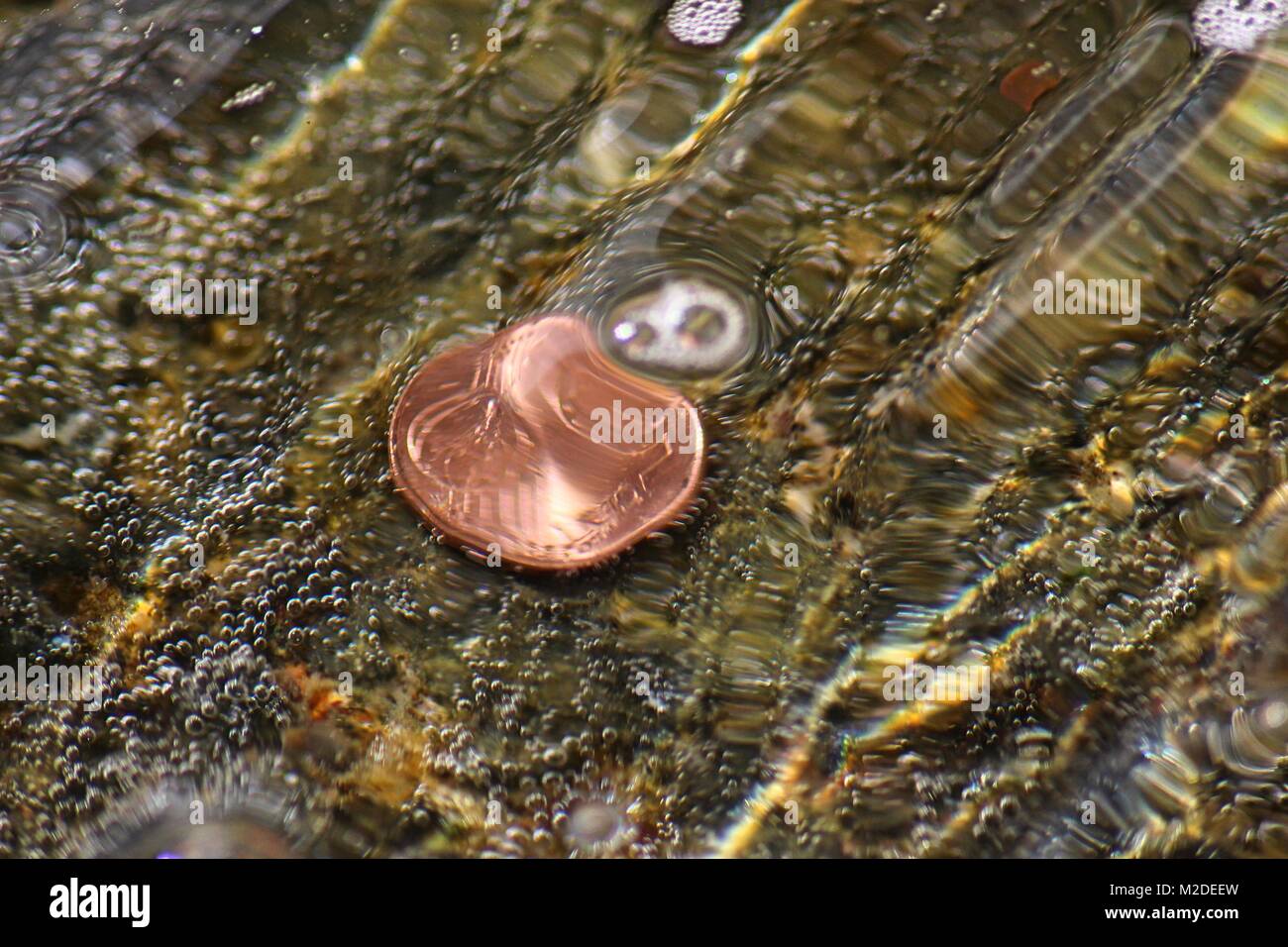 5 cents coin underwater hi-res stock photography and images - Alamy