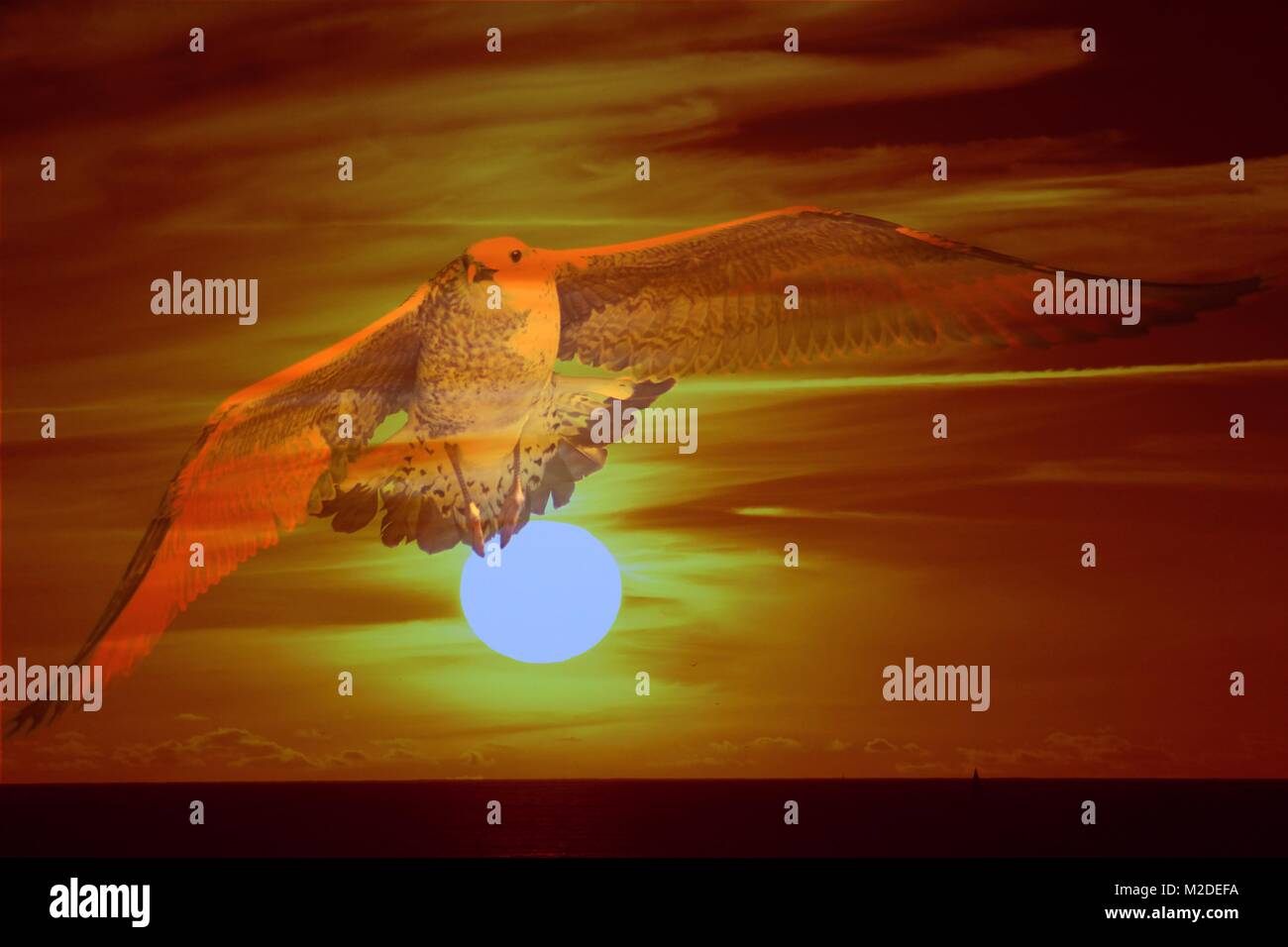 Double exposure people sunset hi-res stock photography and images - Alamy