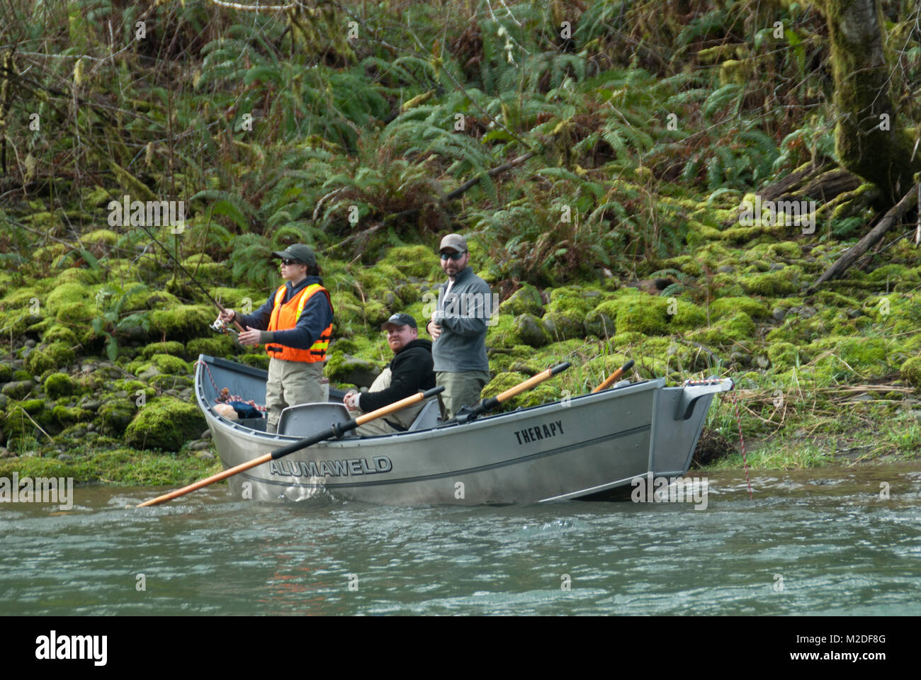 Steelhead trout fishing on the Siletz River in Oregon Stock Photo - Alamy