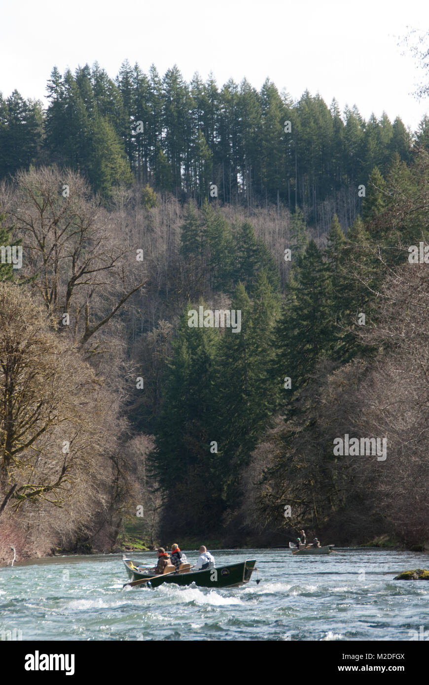 Steelhead trout fishing on the Siletz River in Oregon Stock Photo - Alamy