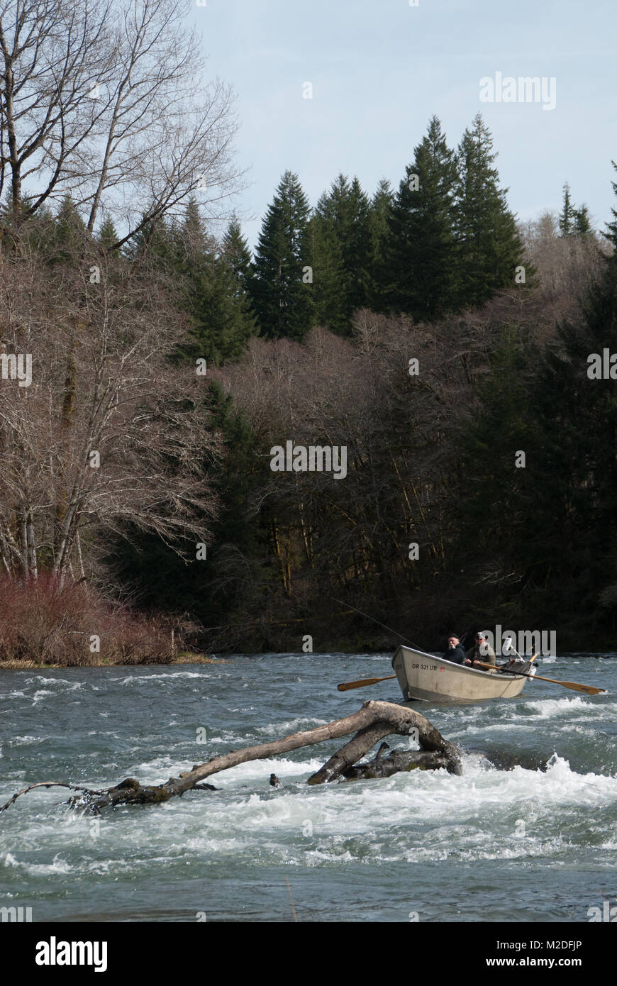 Steelhead trout fishing on the Siletz River in Oregon Stock Photo - Alamy