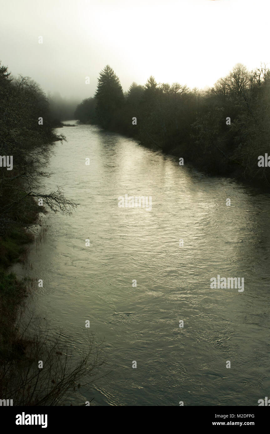 Steelhead trout fishing on the Siletz River in Oregon Stock Photo - Alamy