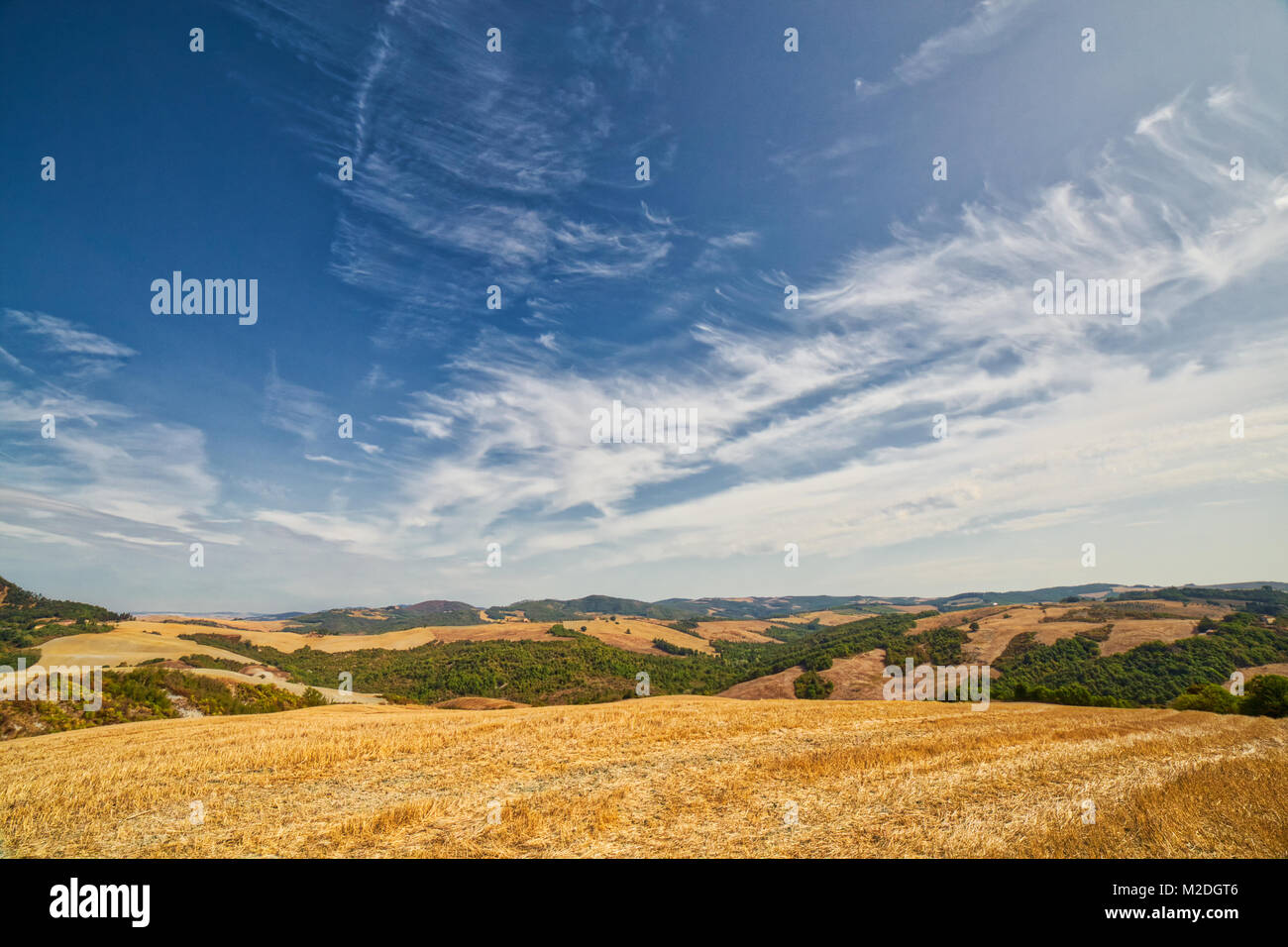 rolling hills of Tuscany in Italy Stock Photo - Alamy