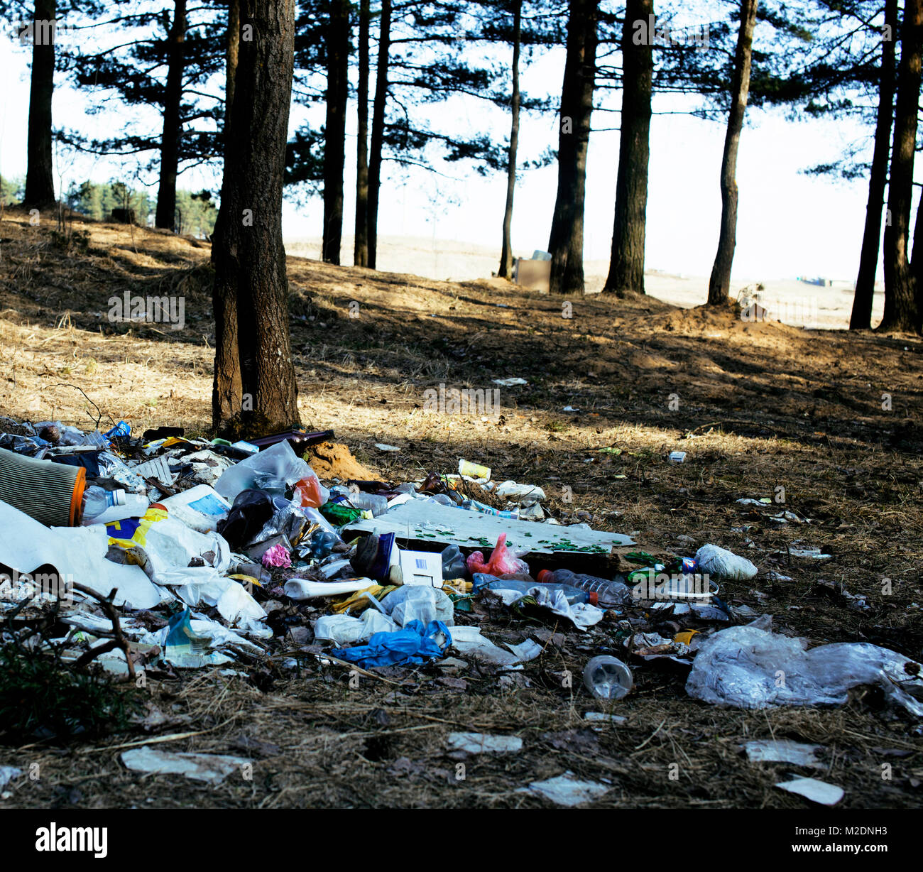Garbage in forest, problems of environment Stock Photo - Alamy