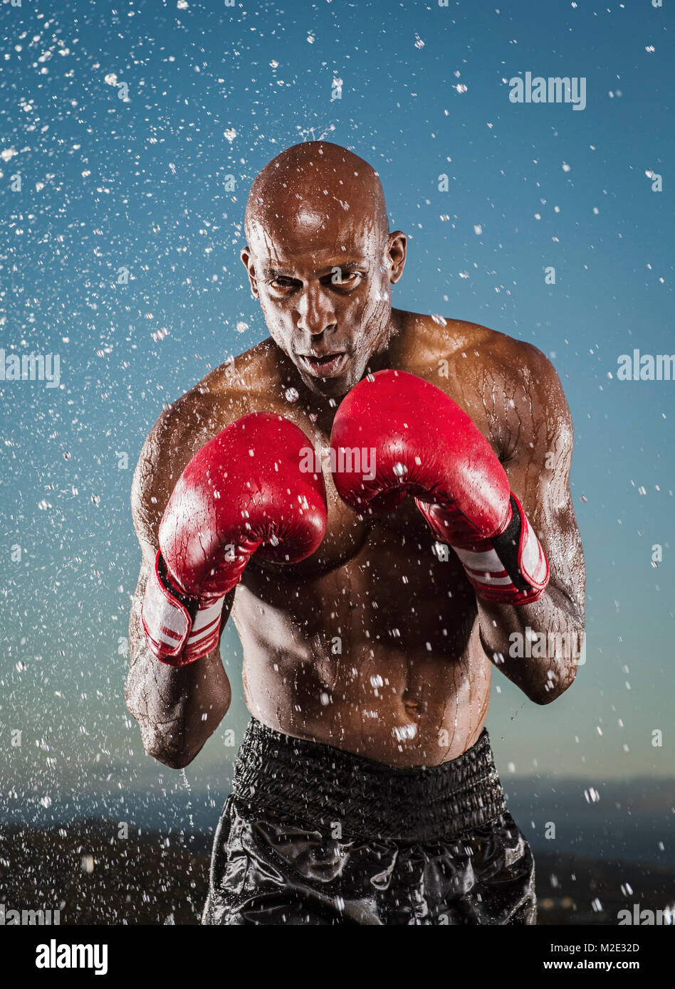 Water splashing on Black boxer Stock Photo - Alamy