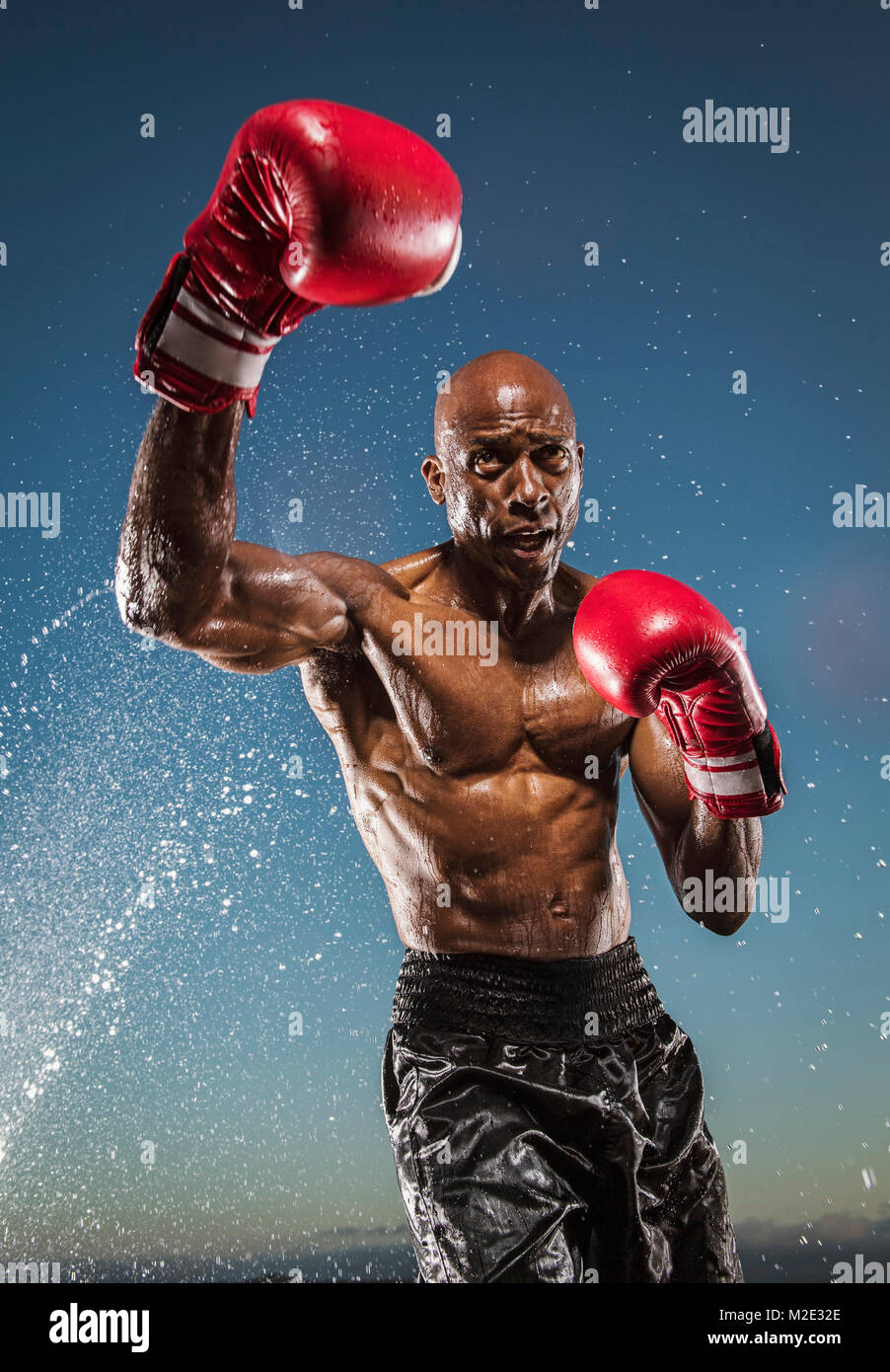 Water splashing on Black boxer Stock Photo - Alamy
