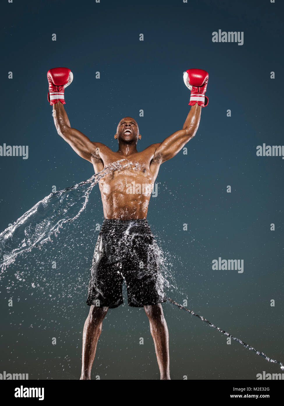 Water splashing on winning Black boxer Stock Photo - Alamy
