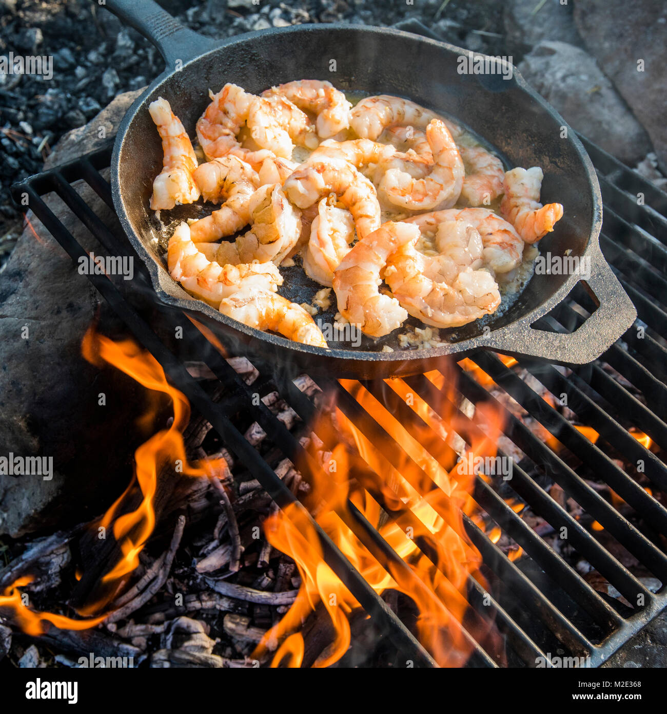 Shrimp frying in skillet over campfire Stock Photo - Alamy