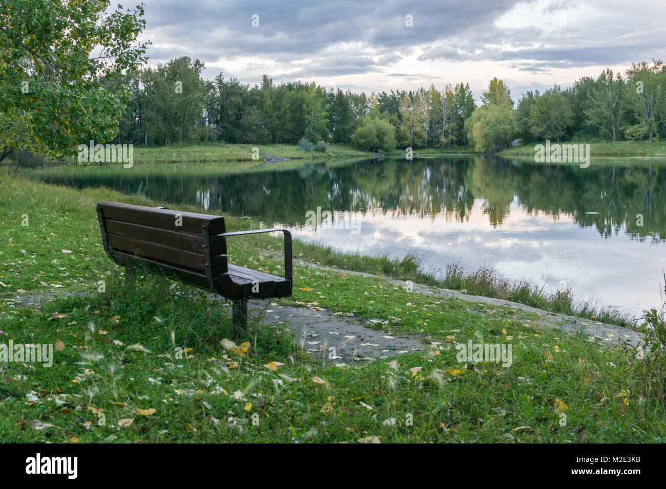 park bench overlooking park with green grass and small lake Stock Photo ...