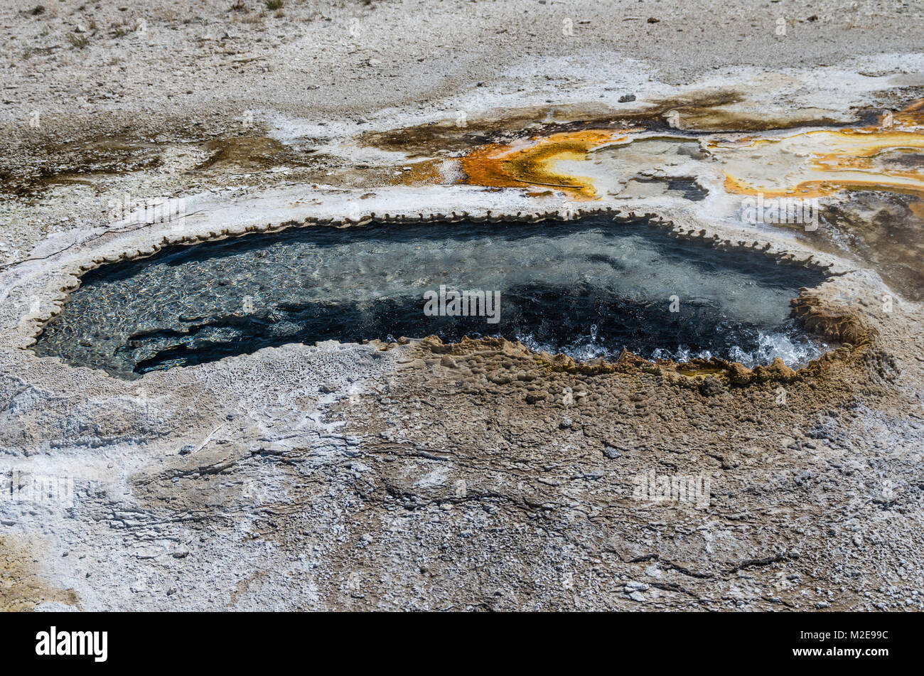Ear Spring in the Upper Geyser Basin is named for its shape. It often ...