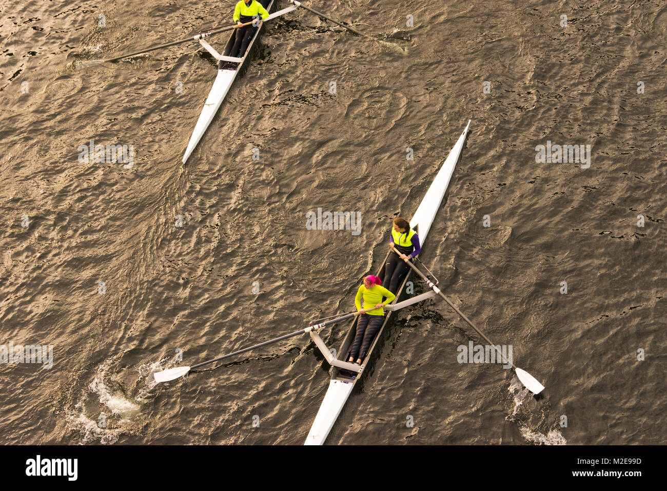 Rowing two person sculls Stock Photo - Alamy
