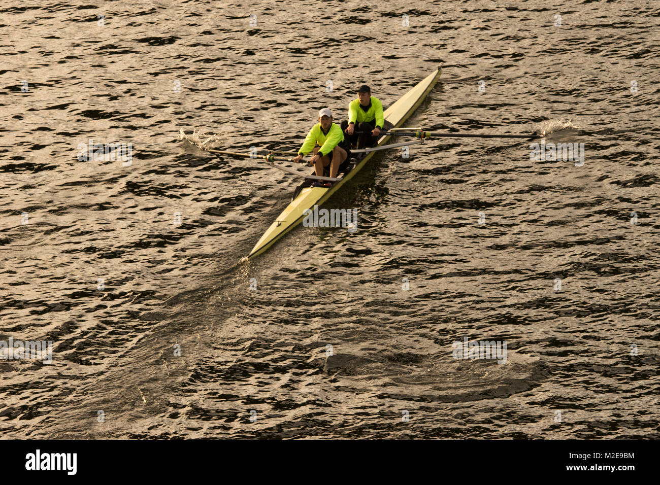 Rowing two person scull Stock Photo - Alamy