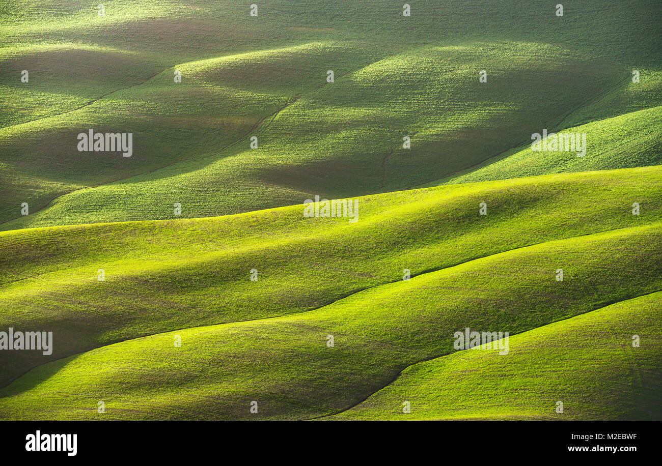 Abstract spring landscape, green grass fields and tractor tracks ...