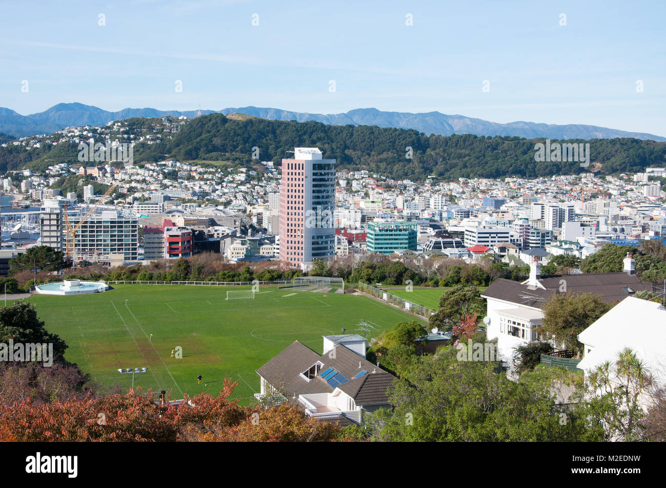 Wellington cityscape hi-res stock photography and images - Alamy