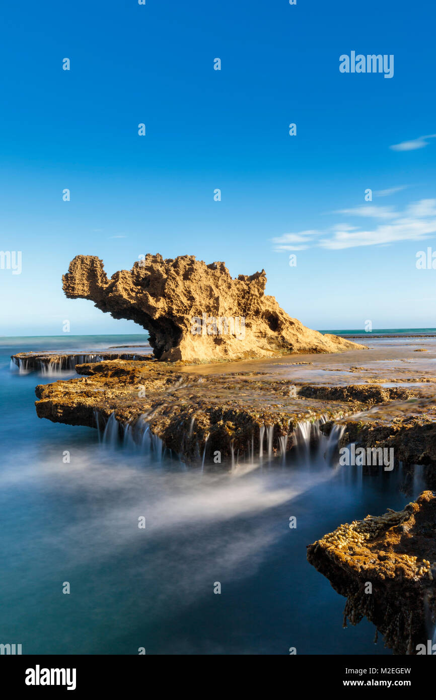 Dragons head hi-res stock photography and images - Alamy