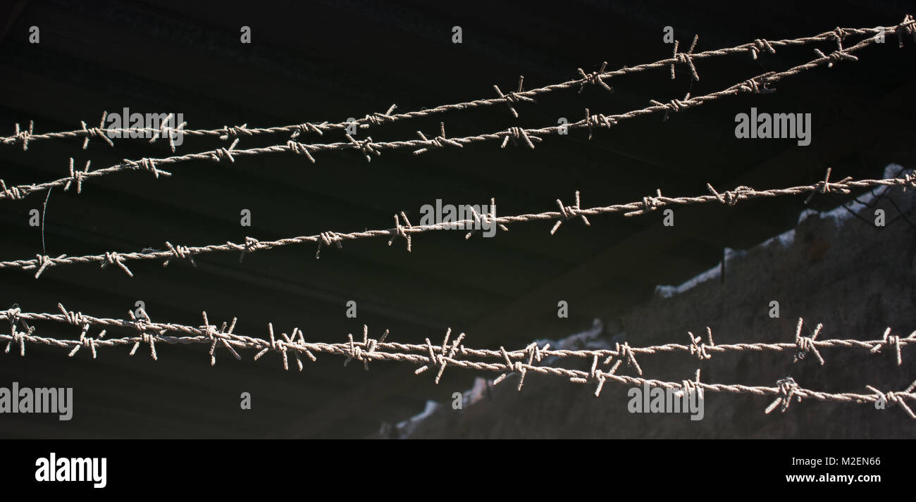 barbed wire fence used for protection purposes Stock Photo - Alamy
