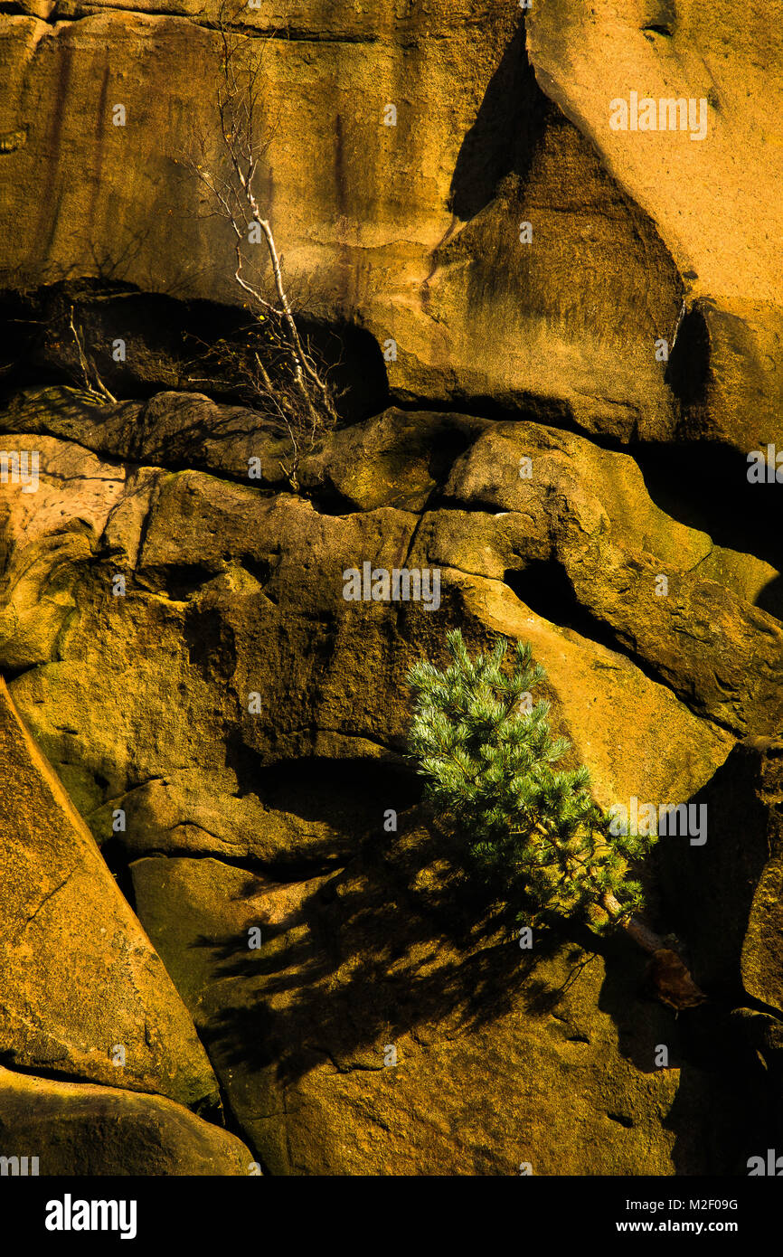 Rock fracture hi-res stock photography and images - Alamy