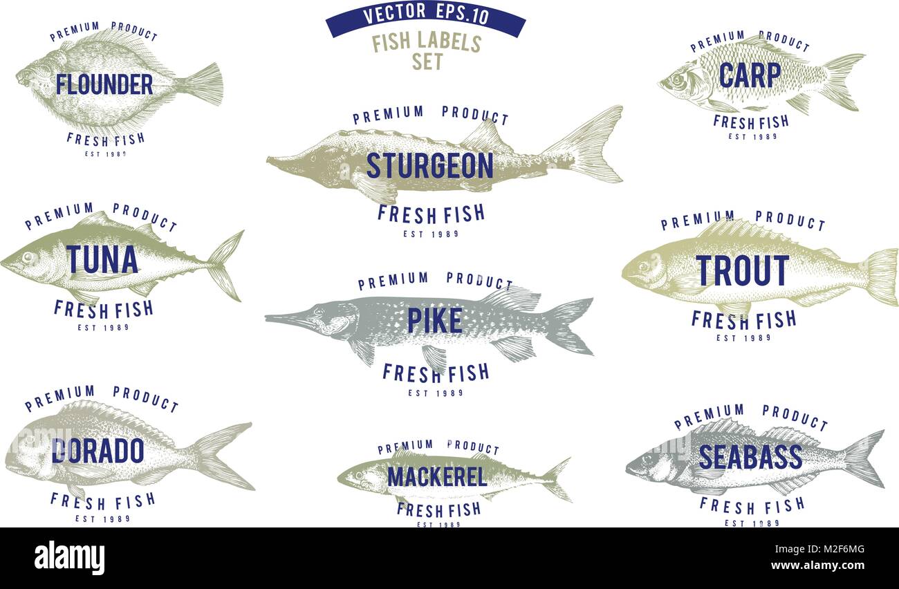 Hand drawn illustrations of fish with names in vintage style over white ...