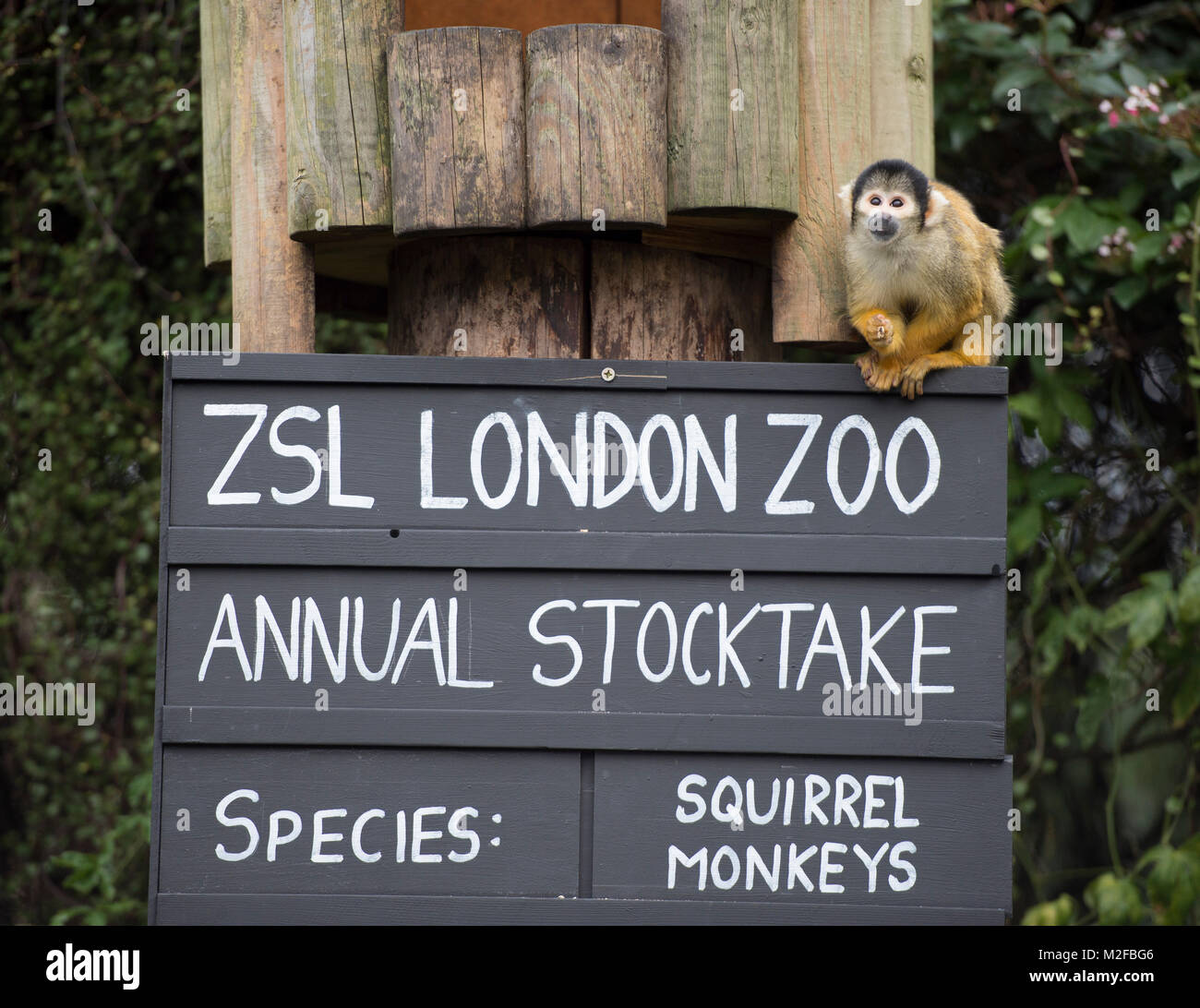ZSL London Zoo, Regent’s Park, London. 7 February 2018. Zookeepers at ...