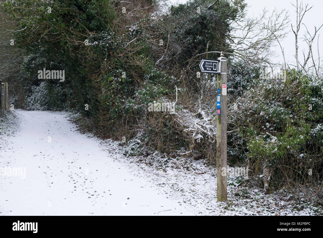 Charing, Kent, UK. 7th Feb, 2018. UK Weather: Specks of snow fell this ...