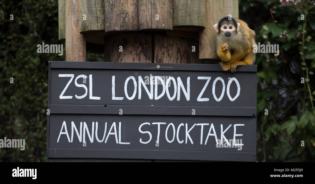 ZSL London Zoo, Regent’s Park, London. 7th Feb2018. Zookeepers at ZSL ...