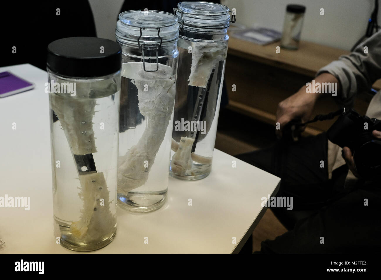 Bonus biogroup hi-res stock photography and images - Alamy