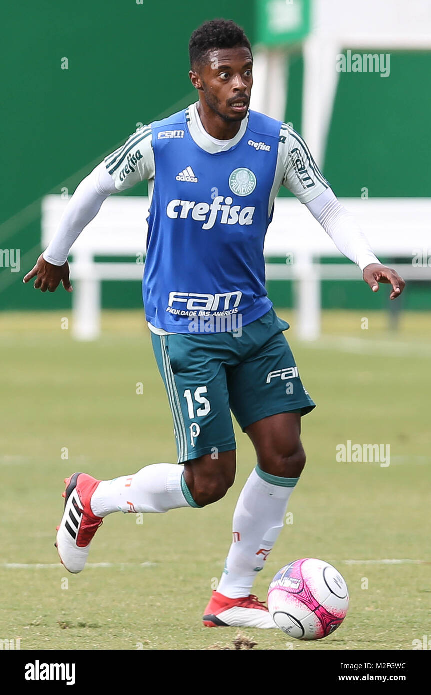 SÃO PAULO, SP - 07.02.2018: TREINO DO PALMEIRAS - The player Michel ...