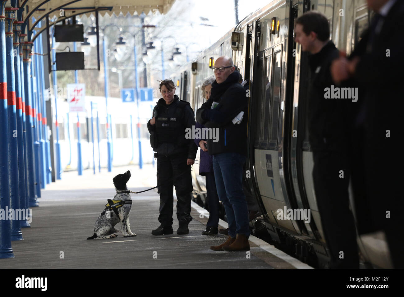 Police dog handler london hi-res stock photography and images - Alamy