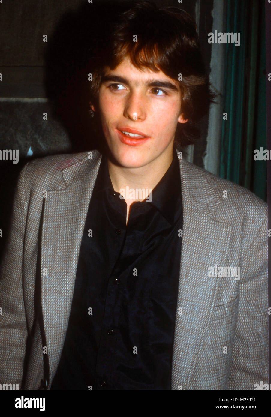 NEW YORK, NY - FEBRUARY 20: Actor Matt Dillon celebrates his 18th ...