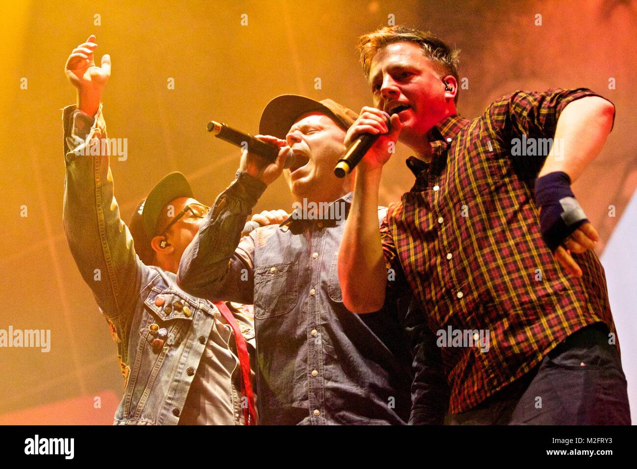 Martin vandreier konig boris hi-res stock photography and images - Alamy