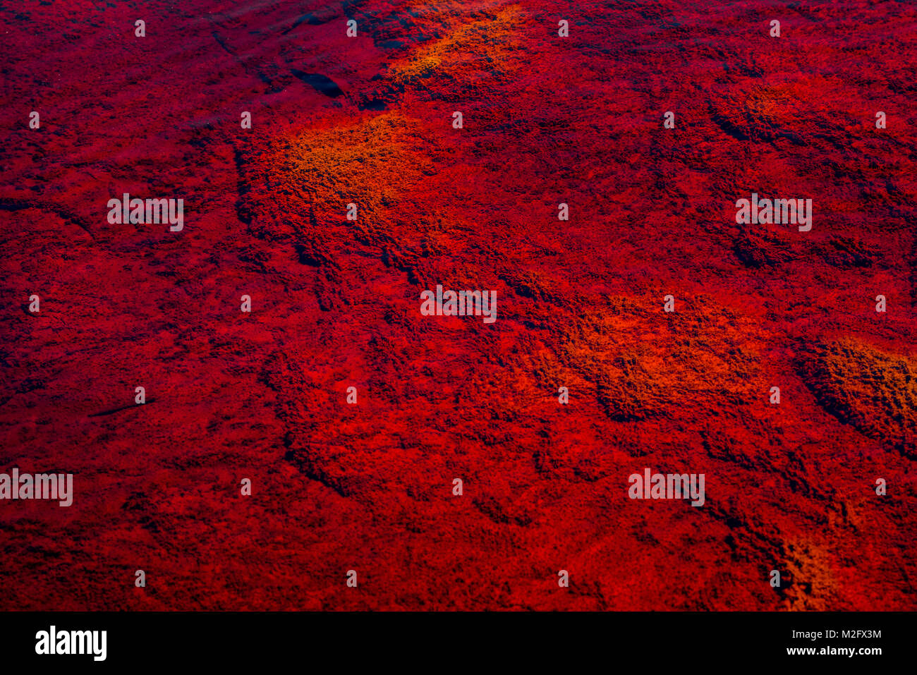 Fantastic colours of Rio Tinto. The river is famous for its deep red ...