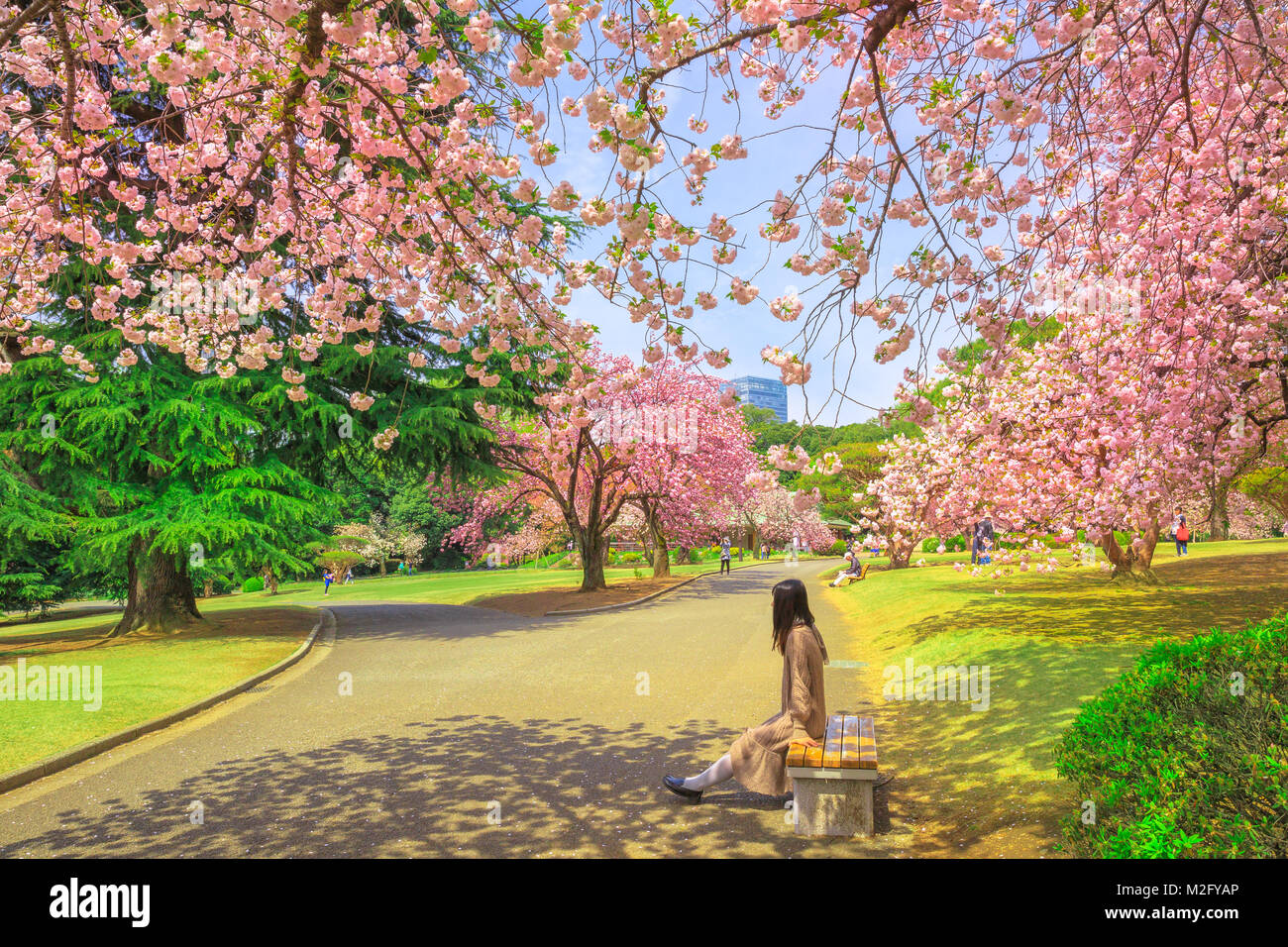 Shinjuku girl hi-res stock photography and images - Alamy