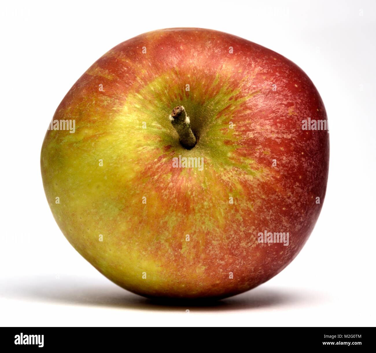Cox's apple close up on a white background Stock Photo - Alamy