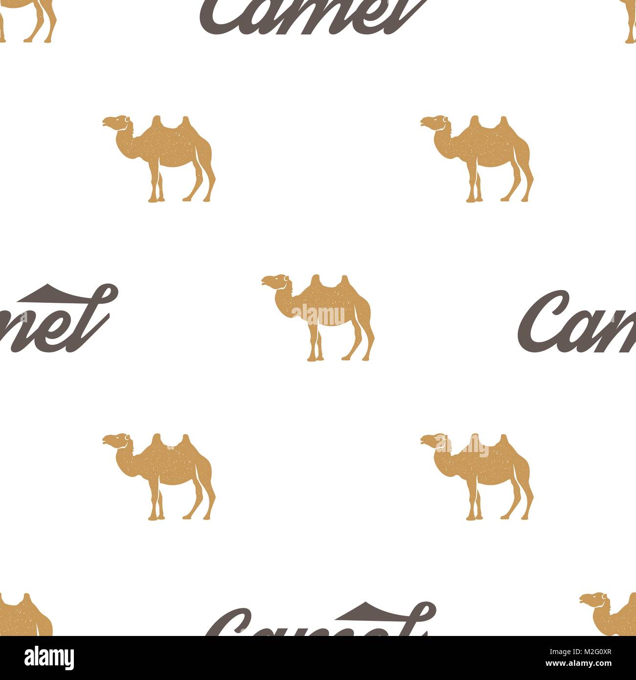 Camel pattern. Seamless background illustration with wild animal ...