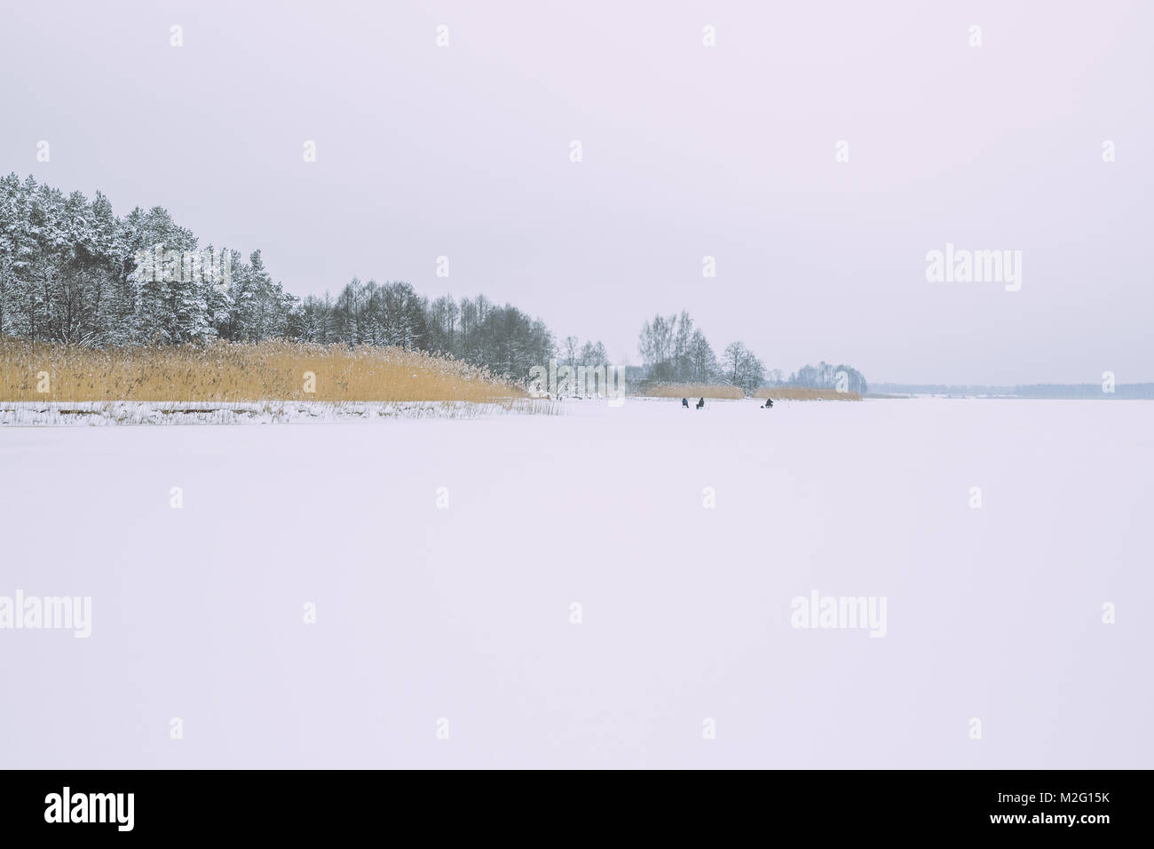 Riga frozen trees hi-res stock photography and images - Alamy