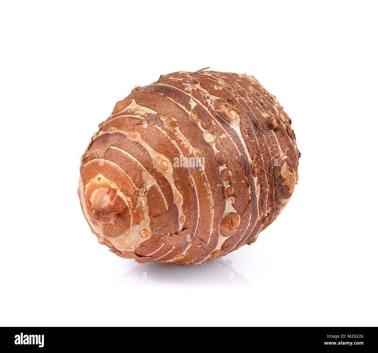 fresh taro isolated on white background Stock Photo - Alamy