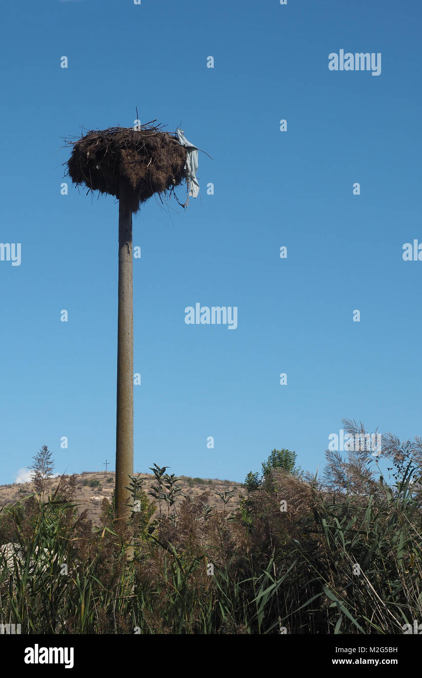Stalk nest at Lake Kerkini, Greece Stock Photo - Alamy