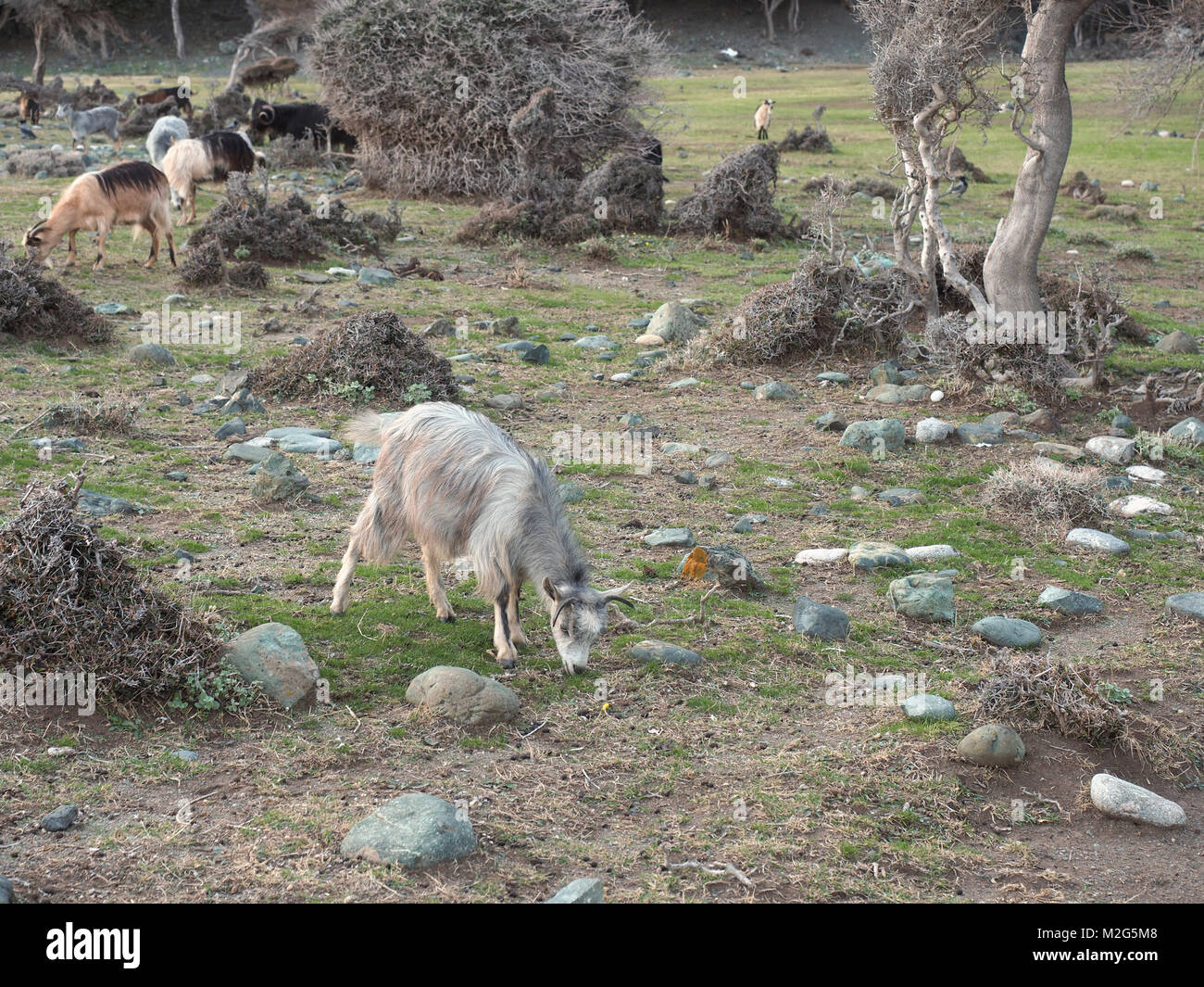 Samothraki, greece hi-res stock photography and images - Alamy