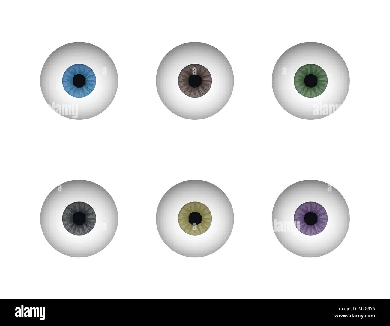 Eyeball Anatomy High Resolution Stock Photography and Images - Alamy