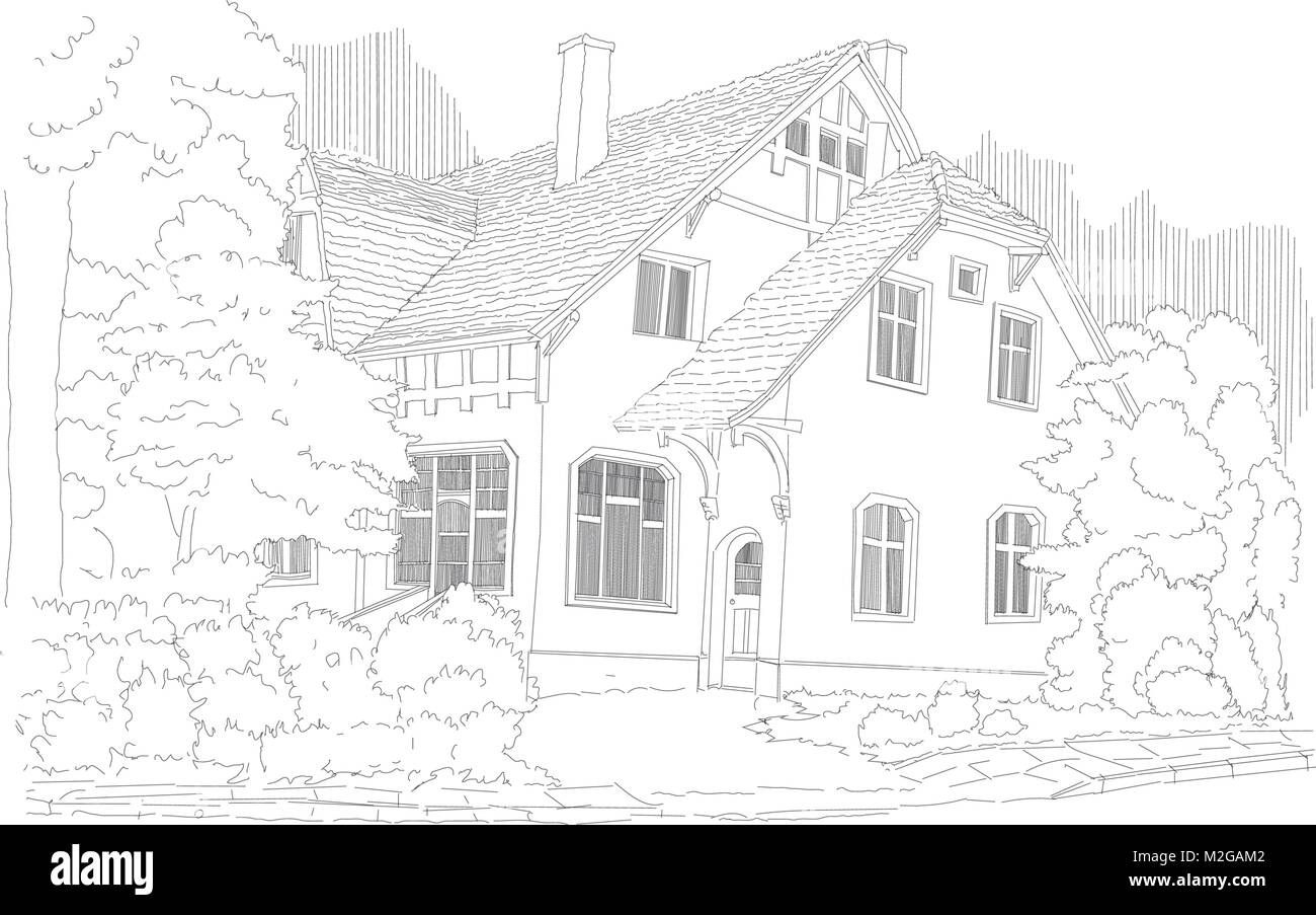 Forest road in rural Stock Vector Images - Alamy