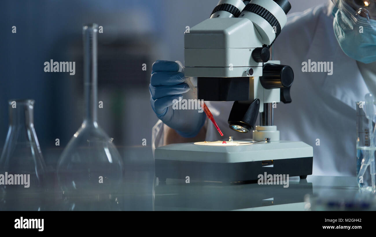 Scientist examining species hi-res stock photography and images - Alamy