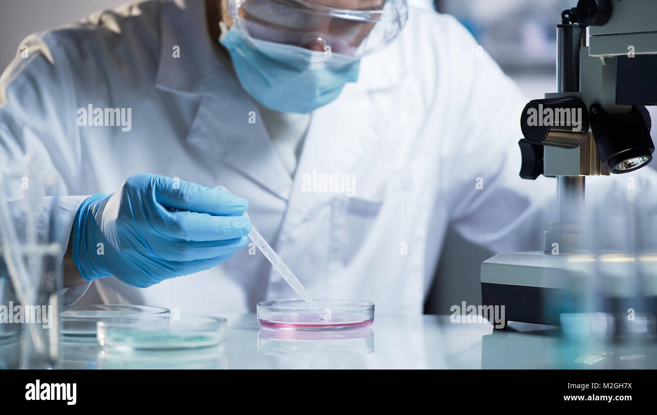 Researcher conducting scientific studies to confirm the quality of ...