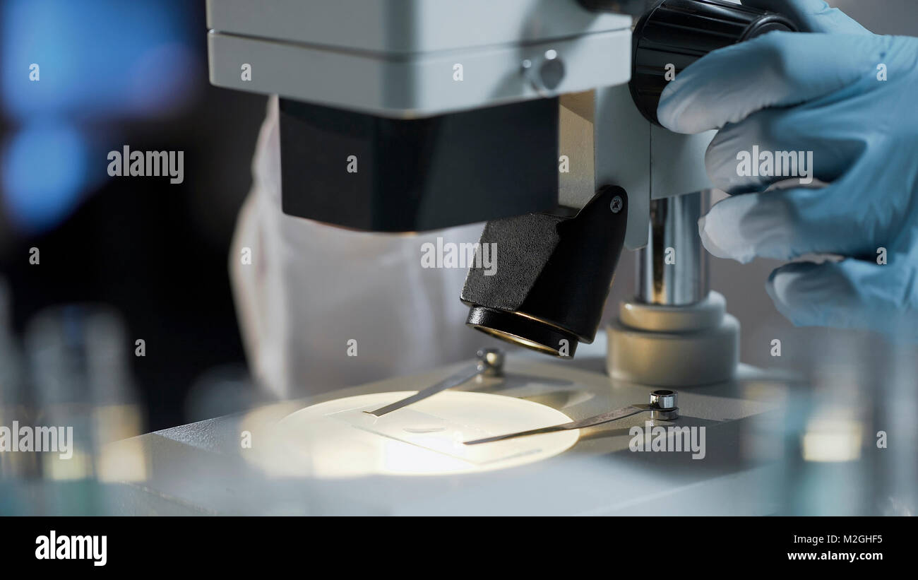 Professional Microscope High Resolution Stock Photography and Images ...