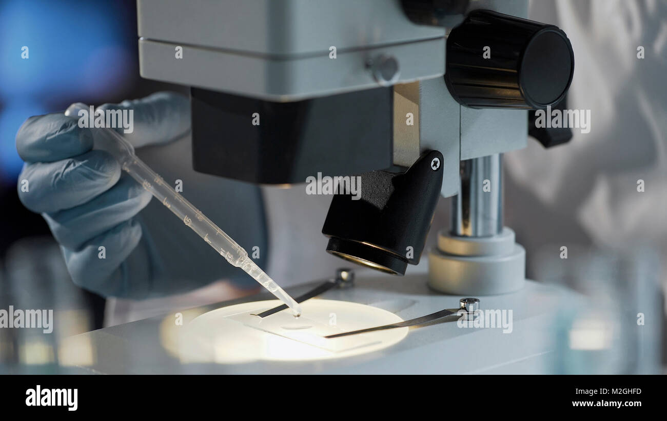 Lab worker preparing test hi-res stock photography and images - Alamy