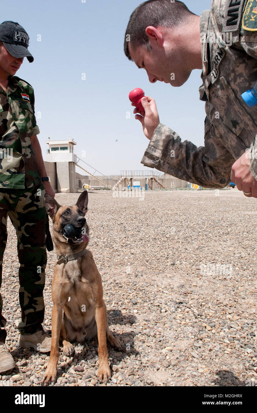 Mahmoud Ismail Husain, a dog handler with the Iraqi police Al Anbar K-9 ...