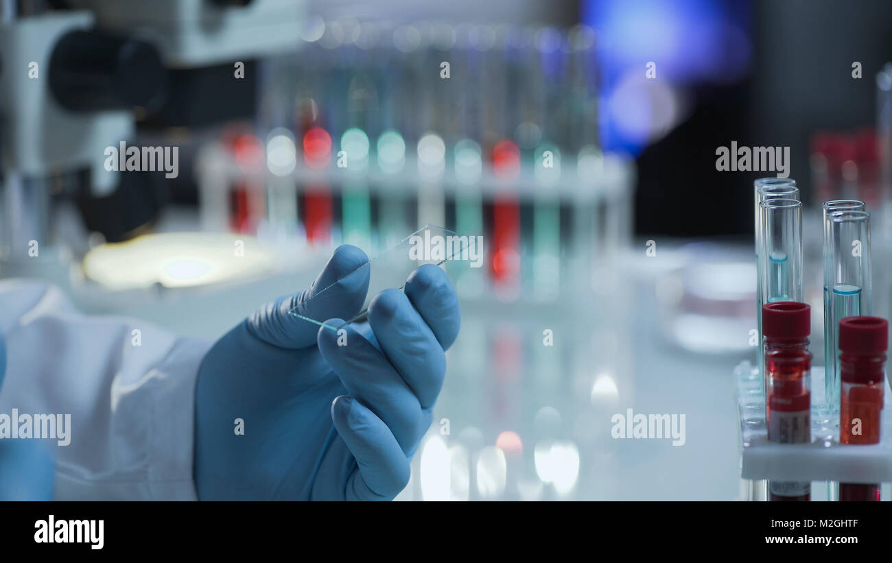 Laboratory scientist preparing microscope slides for examination of ...